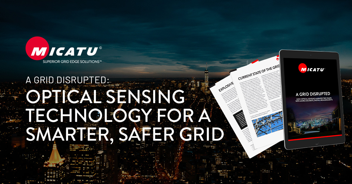 A Grid Disrupted | Whitepaper