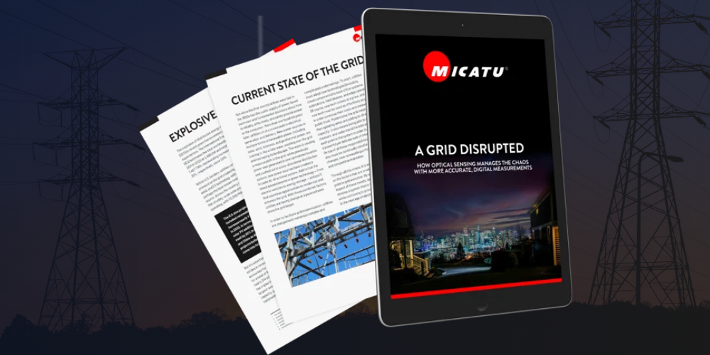 A Grid Disrupted | Whitepaper